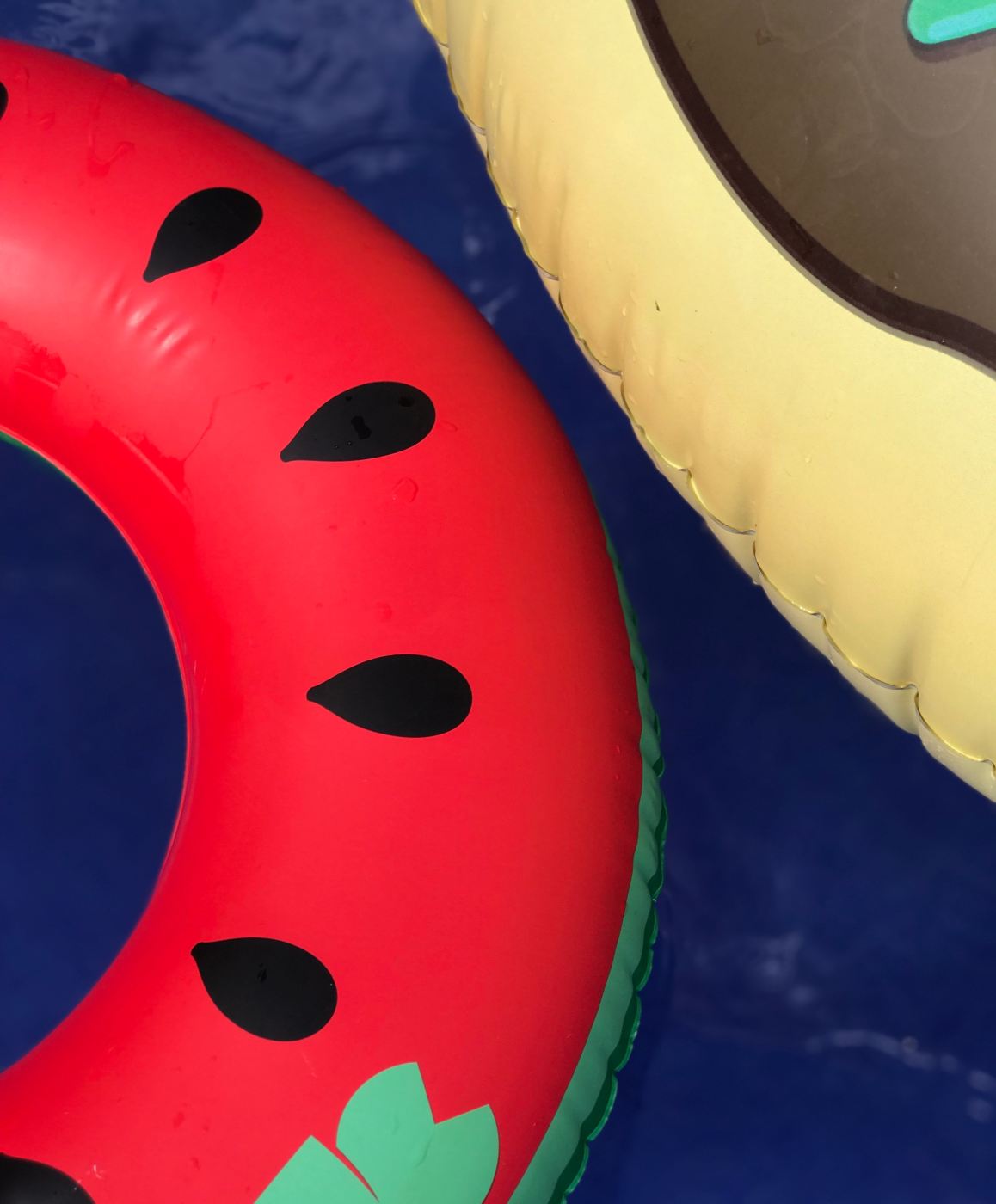 Best Tube Ride in Aruba | Boat Inner Tubing Adventure
